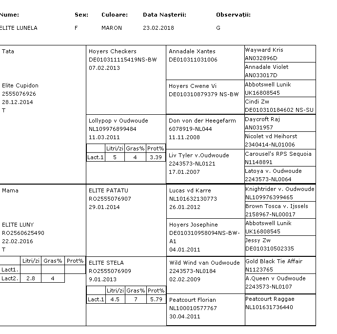 Ferma capre anglo-nubiene Prahova | Capre de 1an