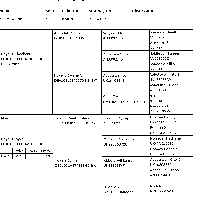 Ferma capre anglo-nubiene Prahova | Capre de 1an