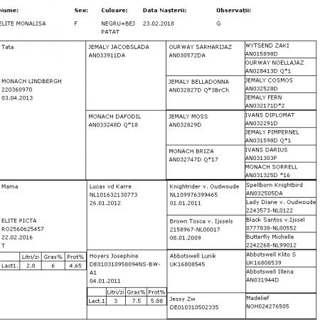 Ferma capre anglo-nubiene Prahova | Capre de 1an